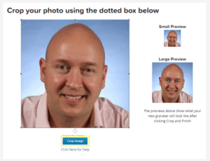 What Is Gravatar and How to Use It? » WP Dev Shed