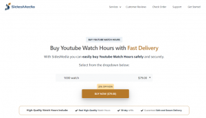 9 BEST Places to Buy 4000 Watch Hours on YouTube for Monetization » WP ...