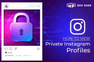 13 Instant Hacks to View Private Instagram Profiles in Jan 2025 » WP ...