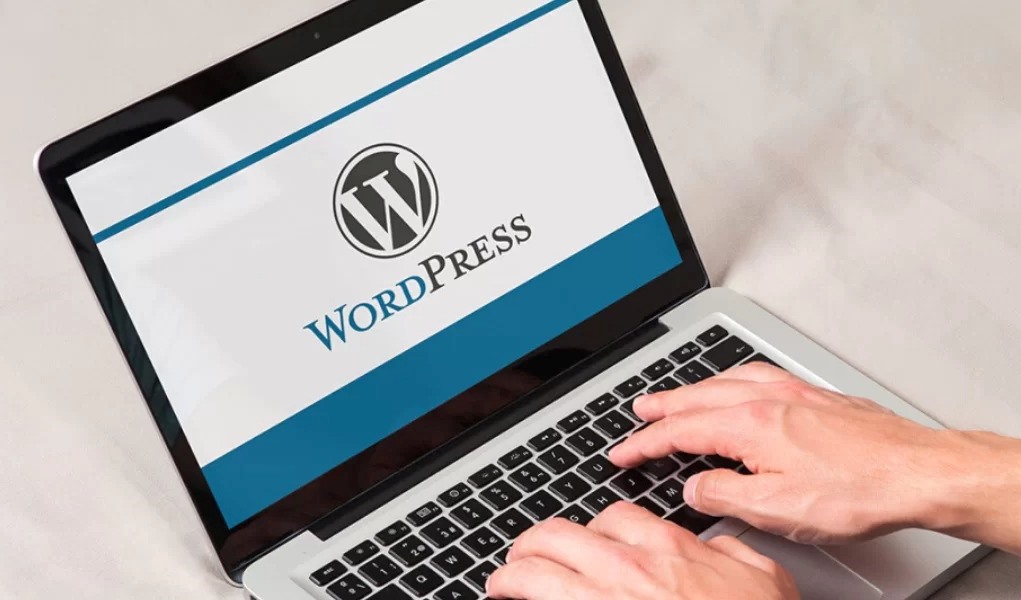What Percentage Of Websites Are WordPress In 2024 WP Dev Shed